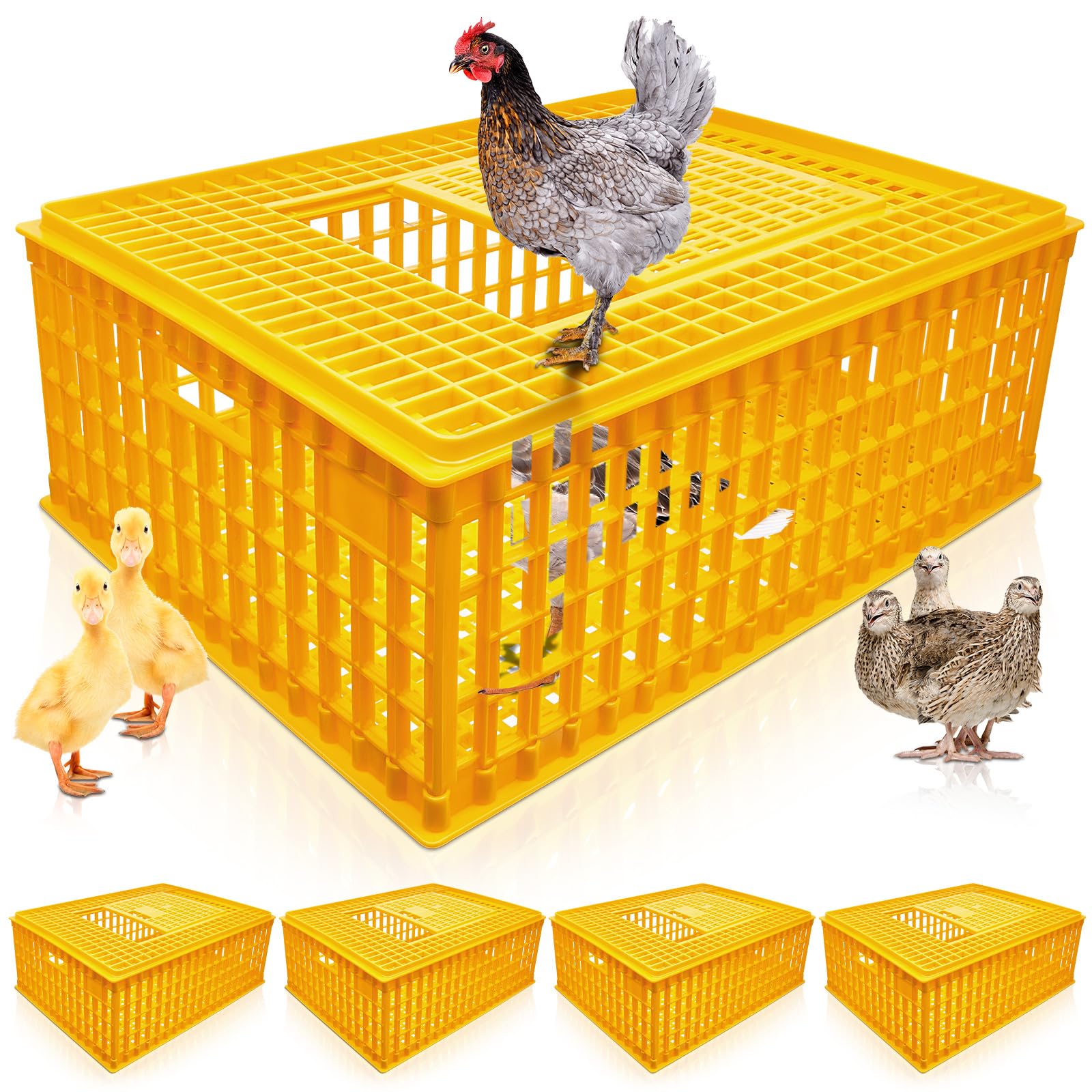 Sintuff 4 Pcs Poultry Carrier Crate Plastic Chicken Transport Crate ...
