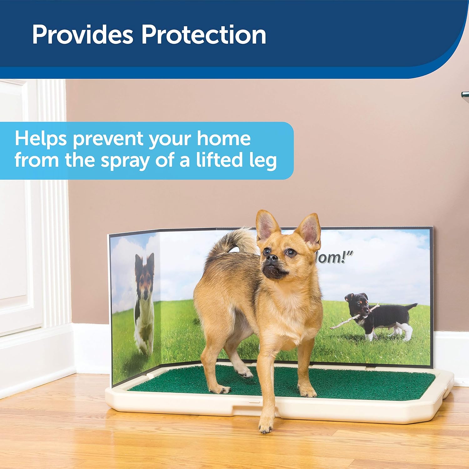 PetSafe Piddle Place Guard Freedom, Splash Protection, Toilet Training ...