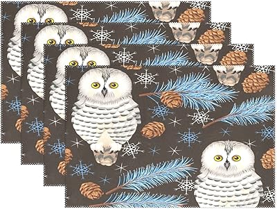 Amazon.com: Winter Owls Paper Placemat Set/30 American Made: Home & Kitchen
