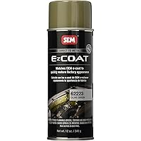 Amazon.com: SEM 62243 Gray Ez Coat - 12 oz. : Automotive