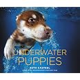 Underwater Puppies: Casteel, Seth: 9780316254892: Books - Amazon.ca