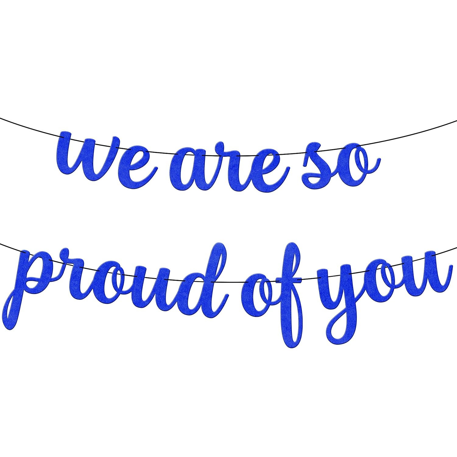 Felt, We Are So Proud Of You Banner - Graduation Decorations 2021 Blue ...