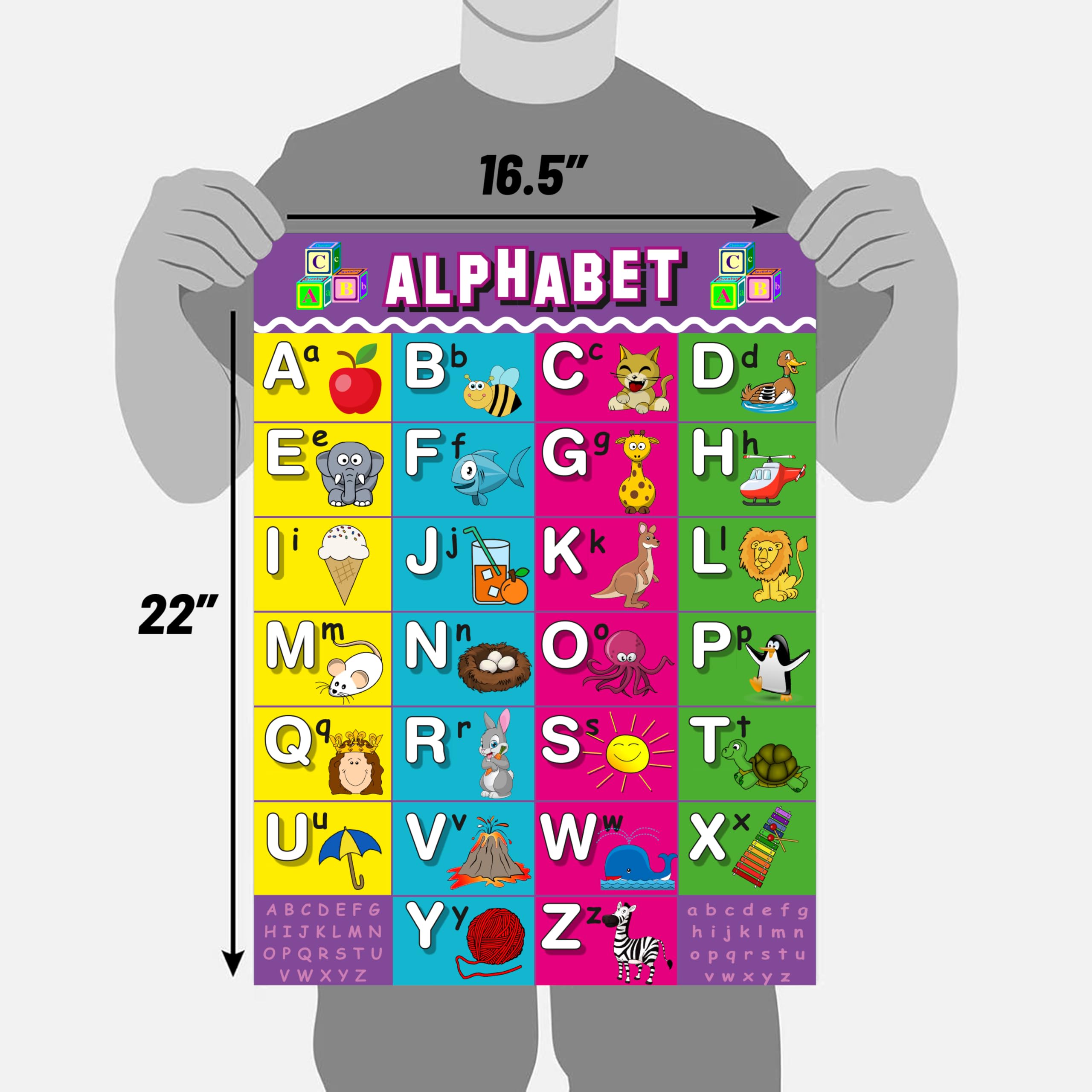 Mua easykart labels 4 Pack - ABC Alphabet + Numbers 1-10 + Shapes ...