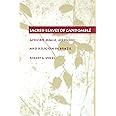 Sacred Leaves of Candomblé: African Magic, Medicine, and Religion in ...