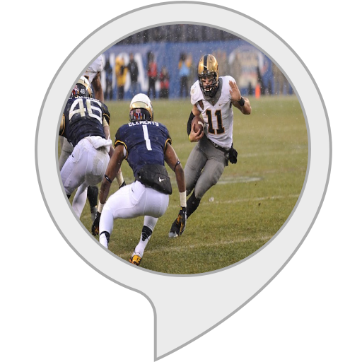 Amazon.com: Pro Football Team Game : Alexa Skills