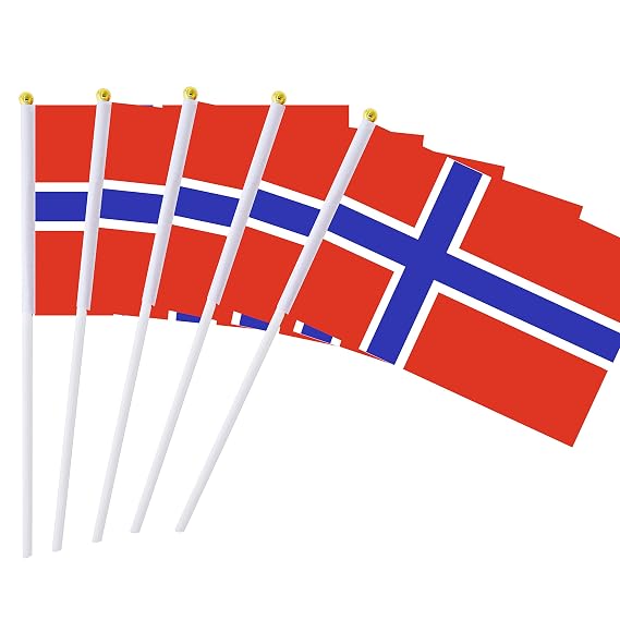 Amazon.com : 25 Pack Hand Held Small Mini Flag Norway Flag Norwegian ...