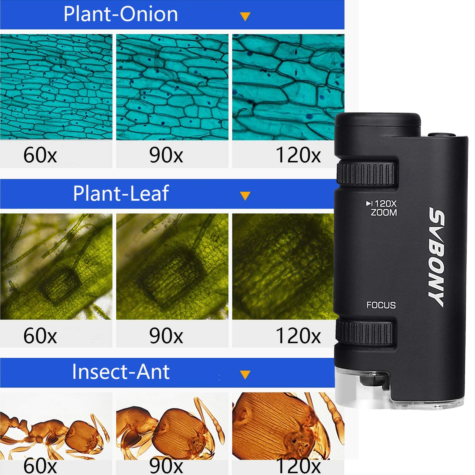 Mua SVBONY SV603 Pocket Microscope trên Amazon Mỹ chính hãng 2025 | Fado