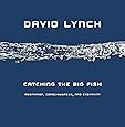 Catching the Big Fish: Meditation, Consciousness, and Creativity: Lynch ...