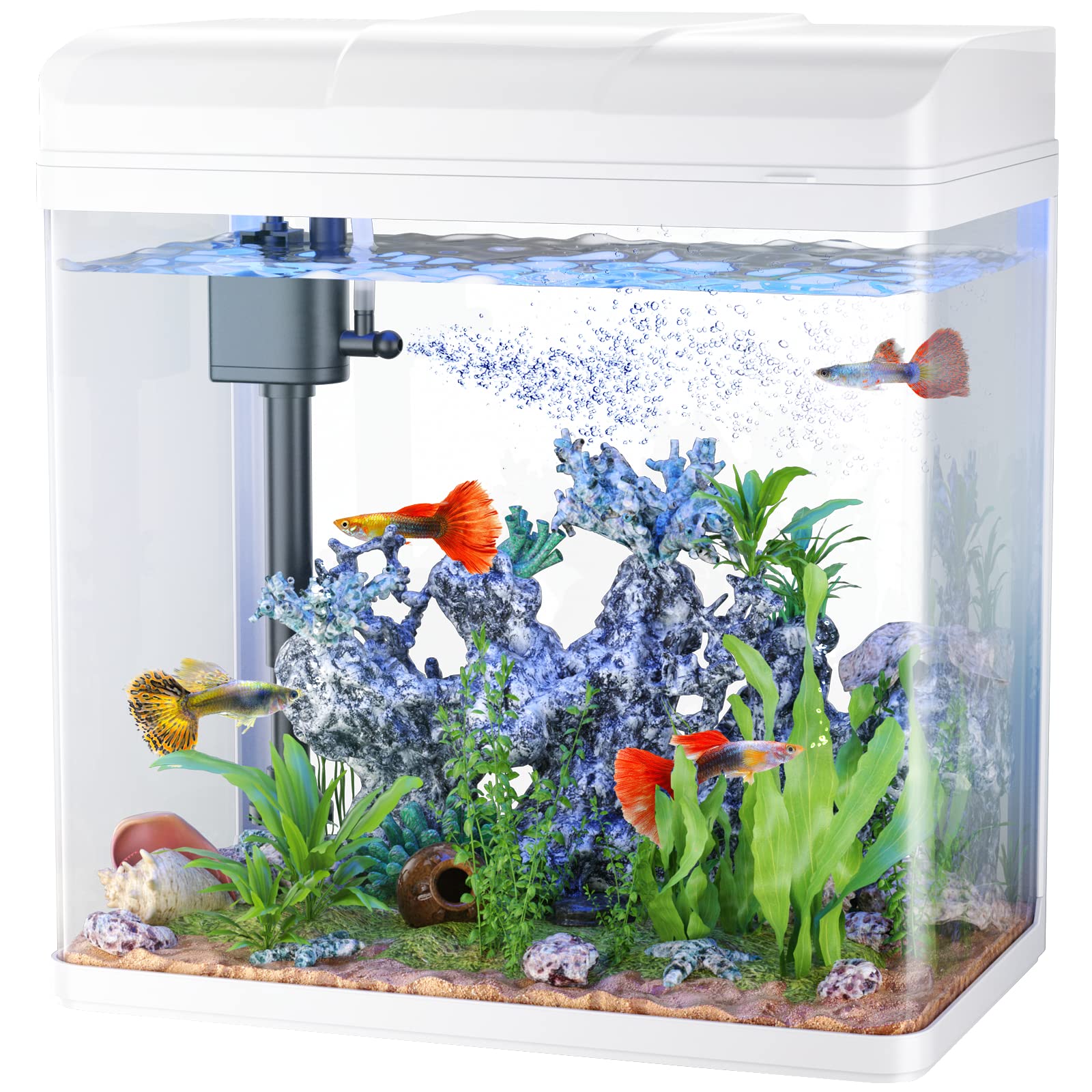 Mua PONDON Fish Tank, 3 Gallon Glass Aquarium with Air Pump, LED Cool ...