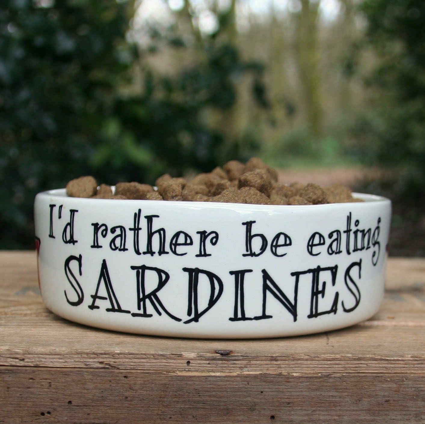 I’d Rather be Eating Sardines cat bowl – BigaMart