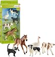 Schleich- Colección Wild Life Set de Figuras de Animales, Guepardo ...