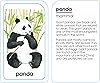School Zone - Animals of All Kinds Flash Cards - Ages 4 and Up ...