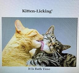 Children's Book About Kittens: A Kids Picture Book About Kittens with ...