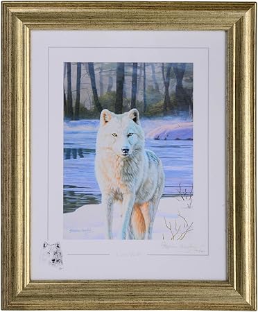 Stephen Gayford Lone Wolf Print: Amazon.co.uk: Kitchen & Home