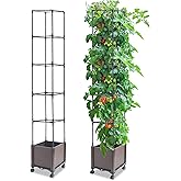 Amazon.com : Bio Green 2 Pack Garden Tomato Planter MAXITOM, with Plant ...
