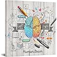 Amazon.com: Artsbay Human Brain Canvas Wall Art Left and Right Brain ...
