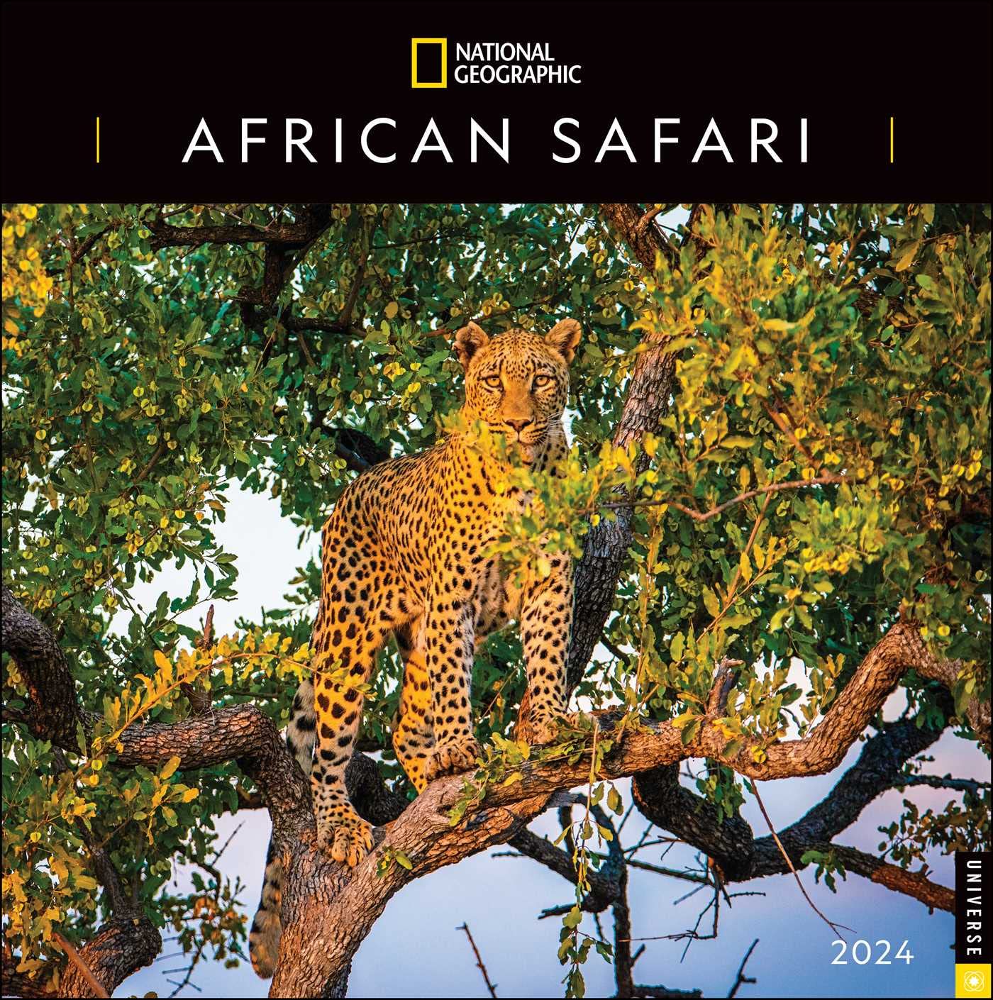 Mua National Geographic: African Safari 2024 Wall Calendar National ...