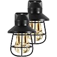 Amazon.com: GE LED Vintage Night Light, Plug-in, Dusk-to-Dawn ...