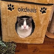 Amazon.com : Collapsible Cat House, Cat Cube with Soft Mat for Small ...