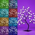 Amazon.com: BDUSXYZ Lighted Cherry Blossom Tree - 48 LED 16 Color ...