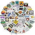 Amazon.com: BulbaCraft 100Pcs Funny Camping Stickers — Camping Gifts ...