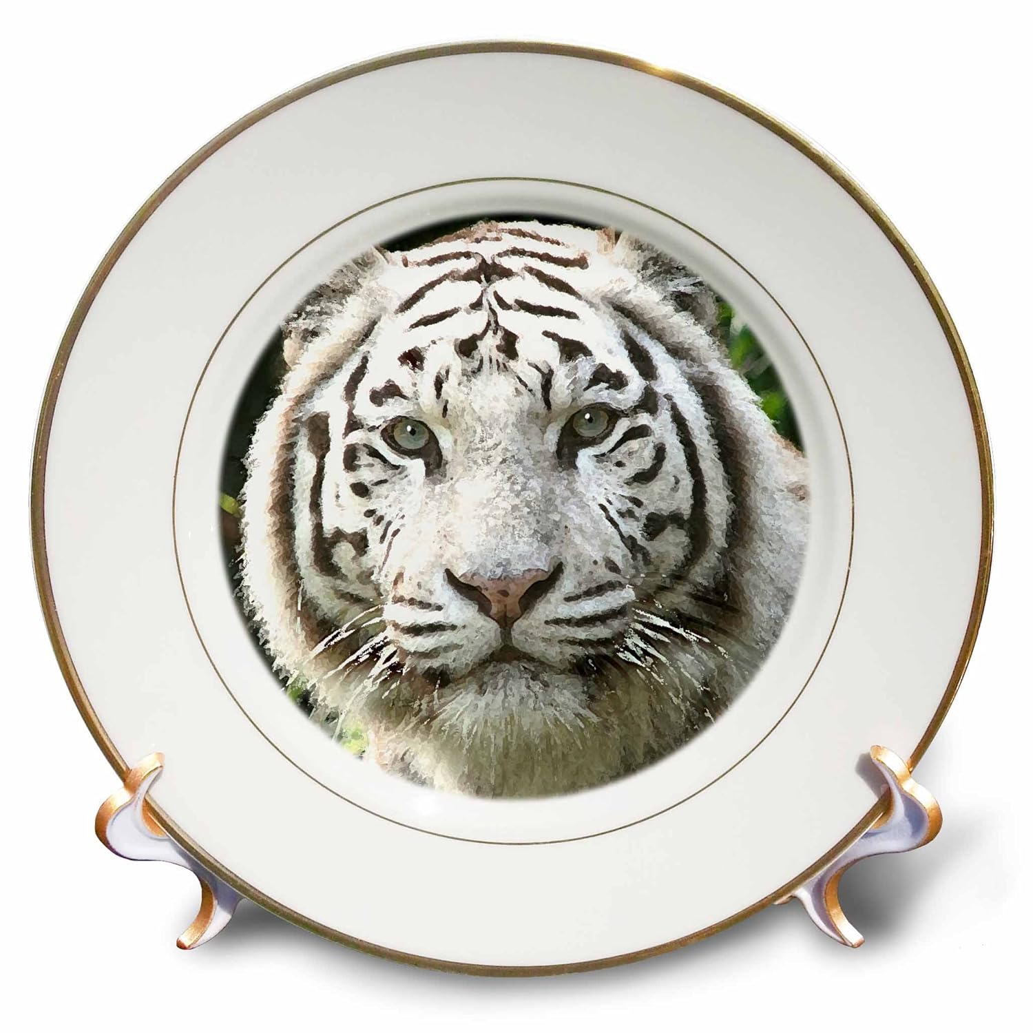 Amazon.com: 3dRose White Tiger-Porcelain Plate, 8" (cp_4845_1): Home ...
