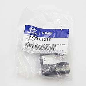 Genuine Hyundai 18790-01318 Fuse, Fuses - Amazon Canada