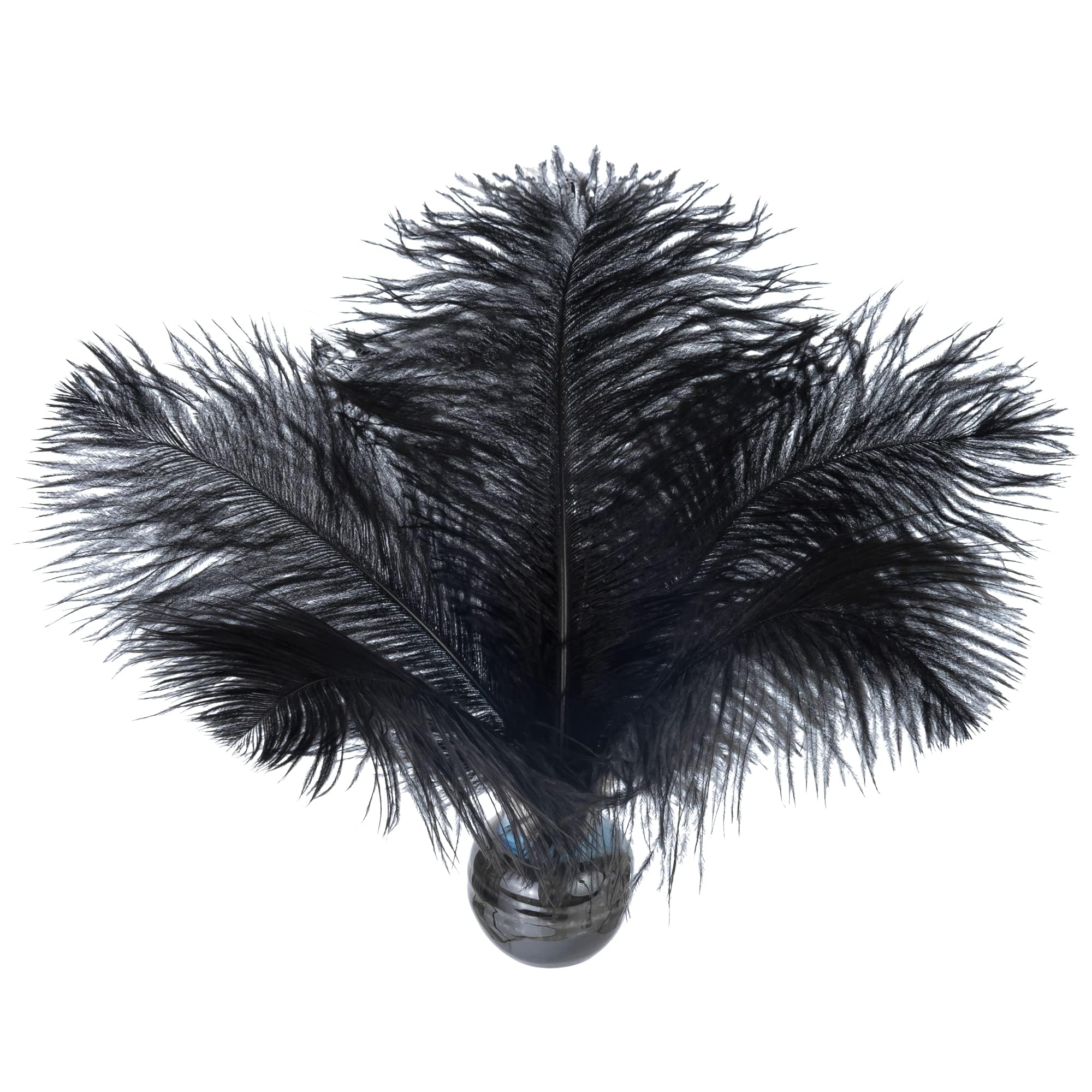 Piokio 20 pcs Natural Black Ostrich Feathers 6-8 inch(15-20 cm) Bulk ...