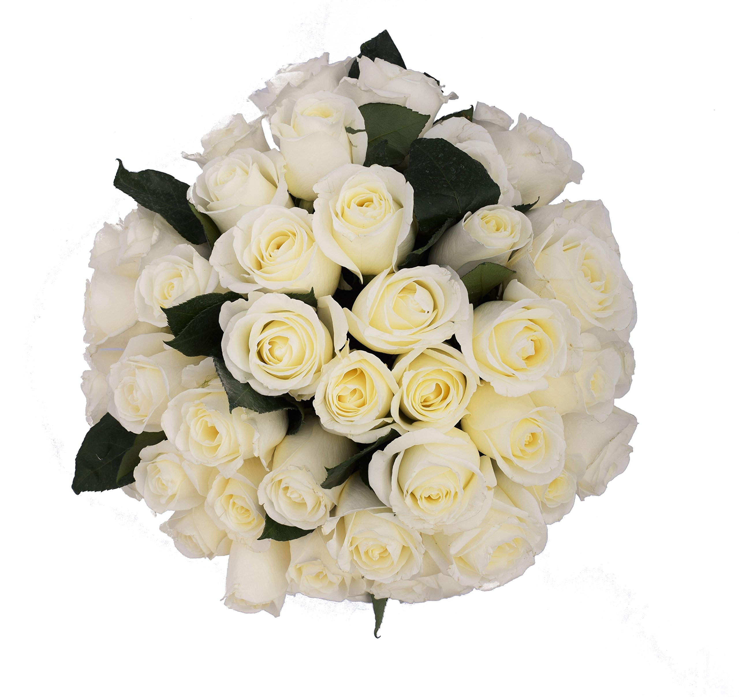 Amazon.com : 50 Farm Fresh Red Roses Bouquet By JustFreshRoses | Long ...