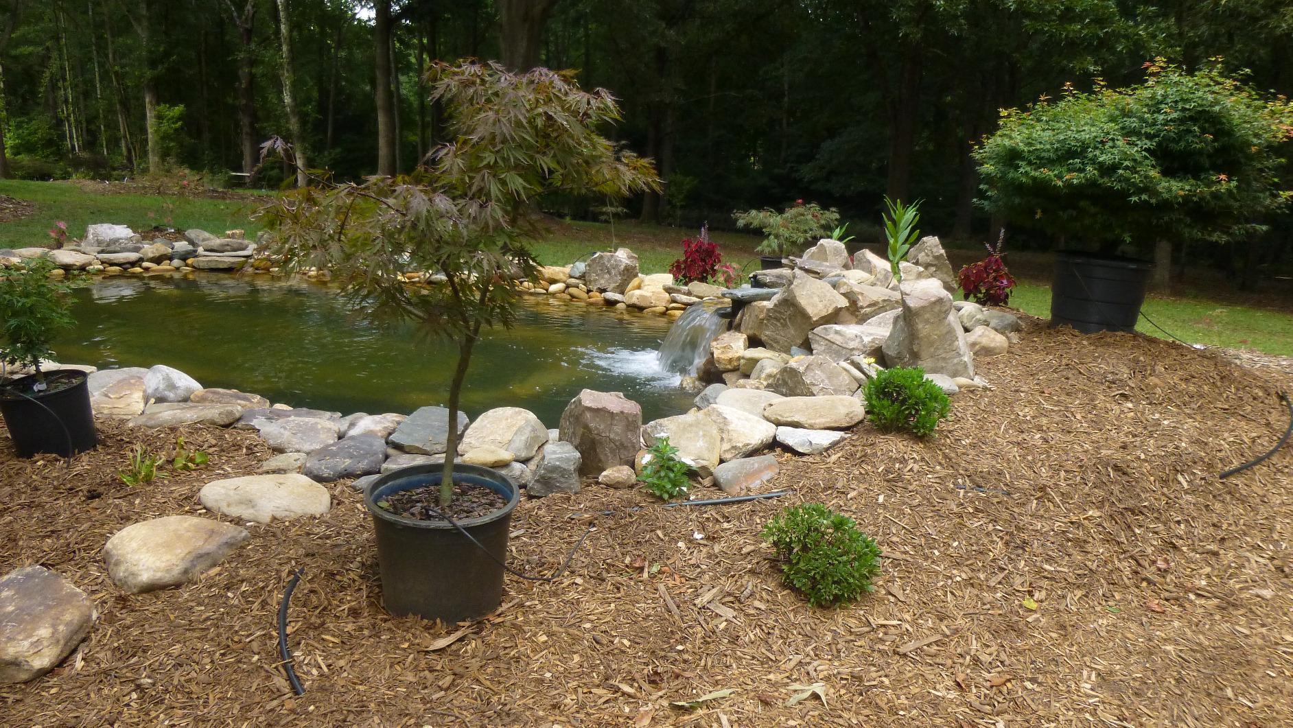 $53/mo - Finance HALF OFF PONDS Complete PRO 5200 Water Garden and Pond ...