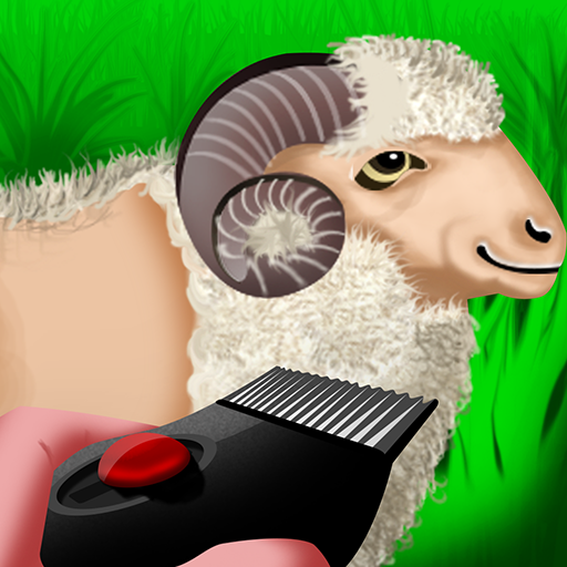 Wooly Sheep Shave : The Shepherd Shaving Lamb Day for Wool Harvest ...