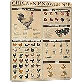 Amazon.com: Chicken Knowledge Metal Tin Sign Chicken Breeds Of The ...