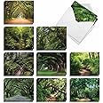 Amazon.com : The Best Card Company - 20 Landscape Nature Note Cards ...