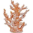 Amazon.com: Etlemonde Beach Coastal Decor Coral Reef Home Decor Coral ...