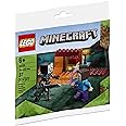 Amazon.com: Lego Minecraft The Nether Duel 30331 : Toys & Games
