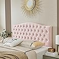 Amazon.com - Befurtori Velvet Upholstered Queen/Full Headboard, Tufted ...