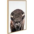 Amazon.com: Kate and Laurel Sylvie Bison Portrait Framed Canvas Wall ...