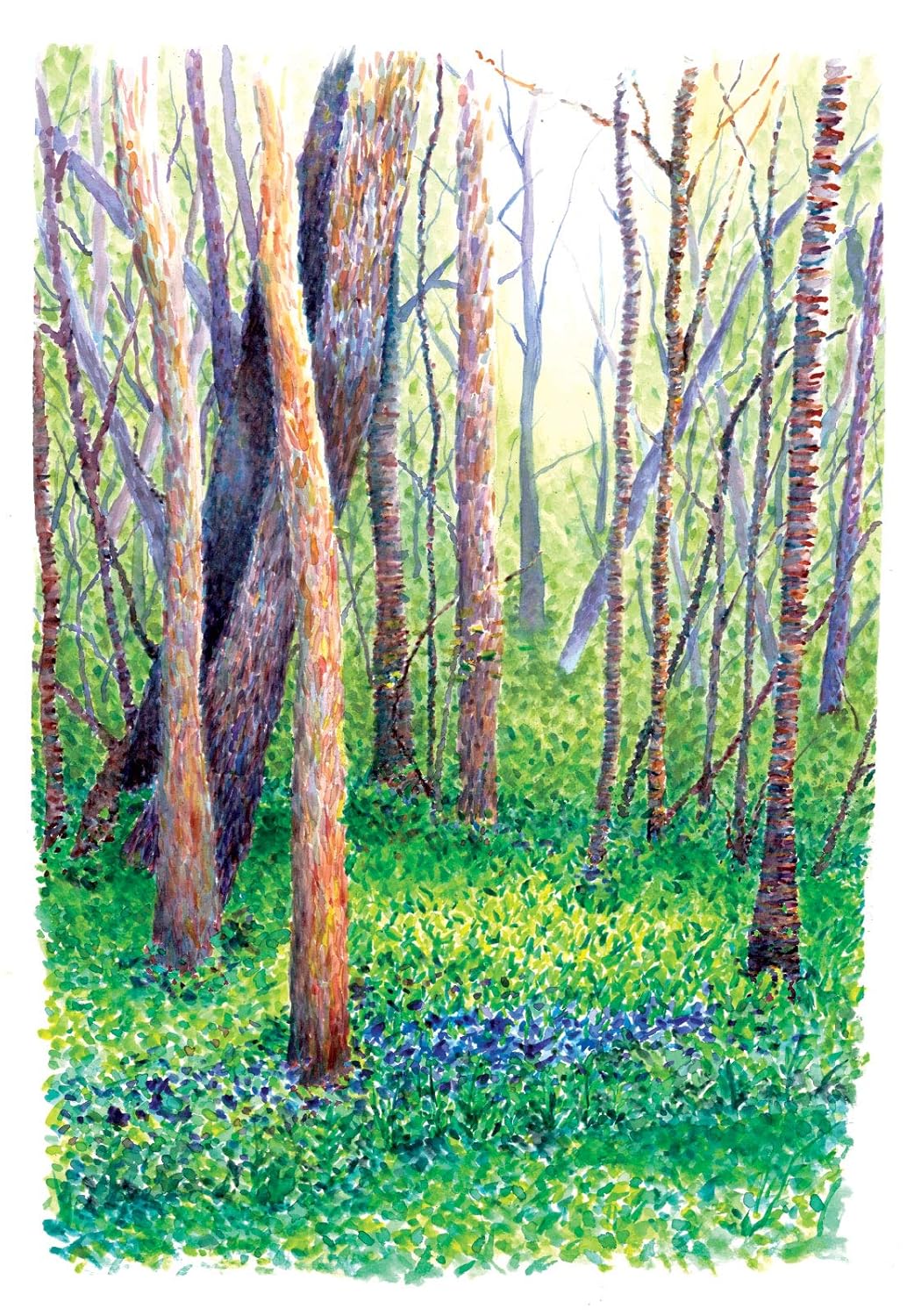 Amazon.com: Forest Pointillism Trees Bluebells Dots Landscape Art Print ...