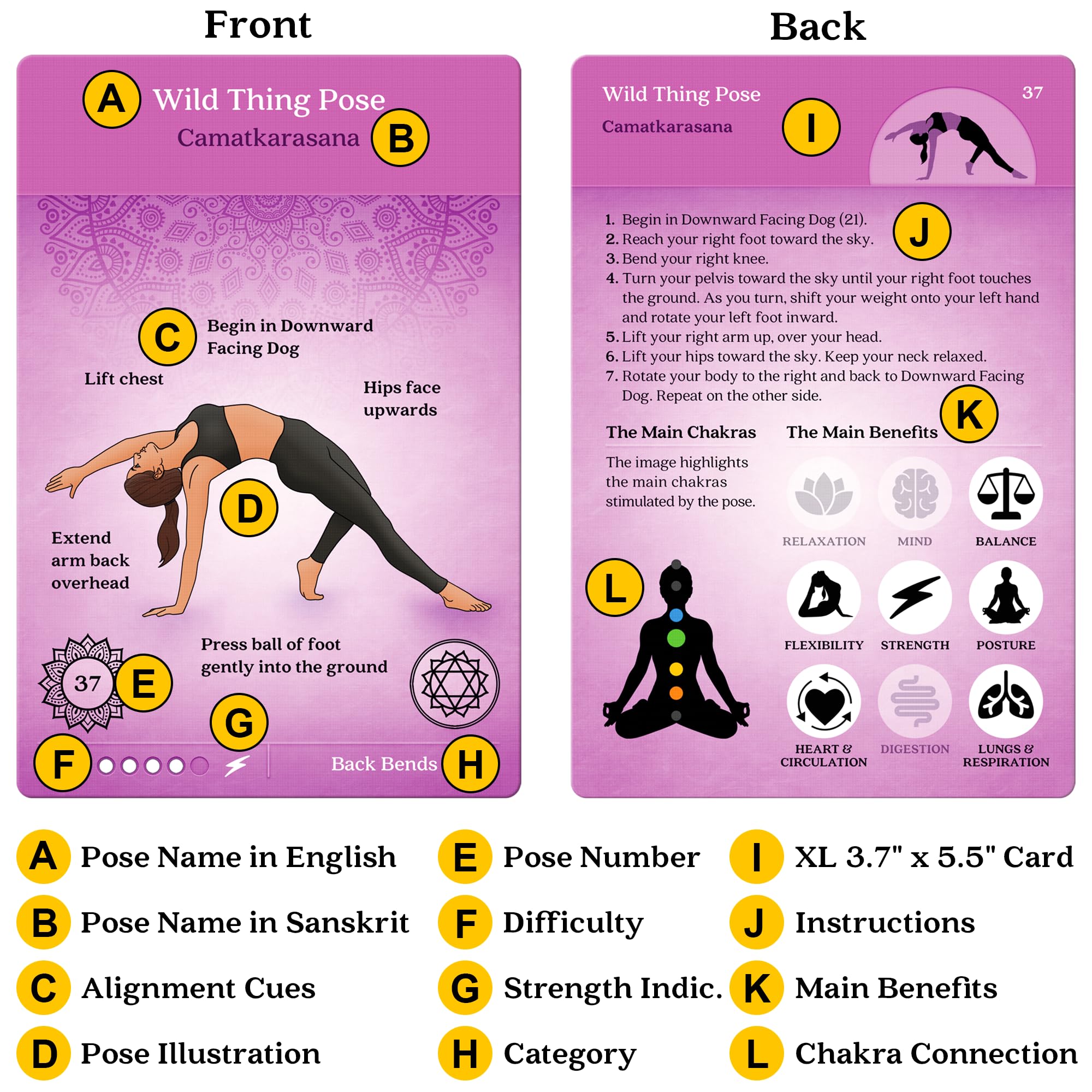 Mua Asana Moon Premium Yoga Cards – Deck with Over 120 Yoga Poses ...