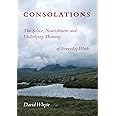 Consolations: The Solace, Nourishment and Underlying Meaning of ...