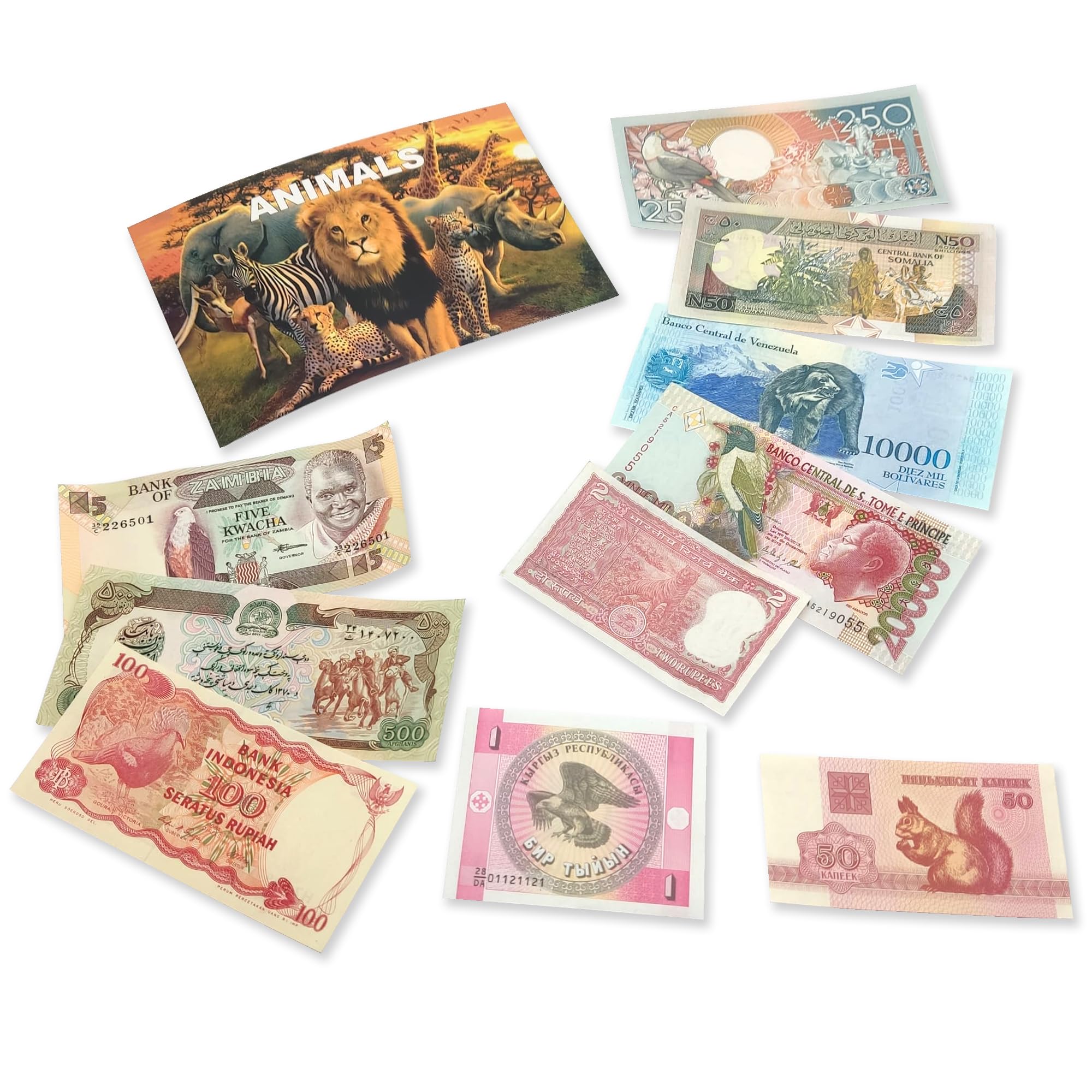 Mua World Paper Money: 10 Animal Banknotes - Elevate Your Foreign ...