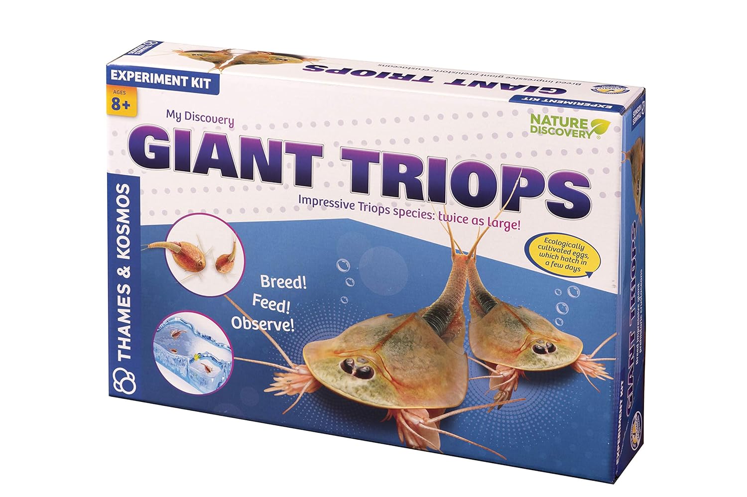 Thames & Kosmos Thames and Kosmos 510869 Giant Triops, Nature Discovery ...