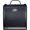Amazon.com: Peavey KB4 Keyboard Amplifier : Musical Instruments