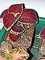Amazon.com: Outsidepride Coleus Fairway Ruby -100 Seeds : Everything Else