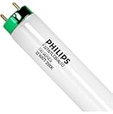Philips 281618 - F32T8/HL735/ALTO - 32 Watt Fluorescent Tube - T8 - 36, 000 Hours - 2, 600 ...
