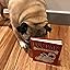 Two's A Crowd (Pug Pals #1): Flora Ahn: 9781338118452: Amazon.com: Books