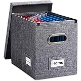 Amazon.com : Prandom File Organizer Box - Set of 1 Collapsible ...