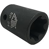 Amazon.com: Lisle 83210 EP24 Torx Plus Socket : Tools & Home Improvement