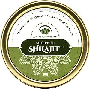 Amazon.com: Authentic Shilajit - Genuine Himalayan SHILAJIT in It's ...