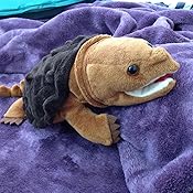 Amazon.com: Wildlife Artists Snapping Turtle Plush Toy 15" L: Toys & Games